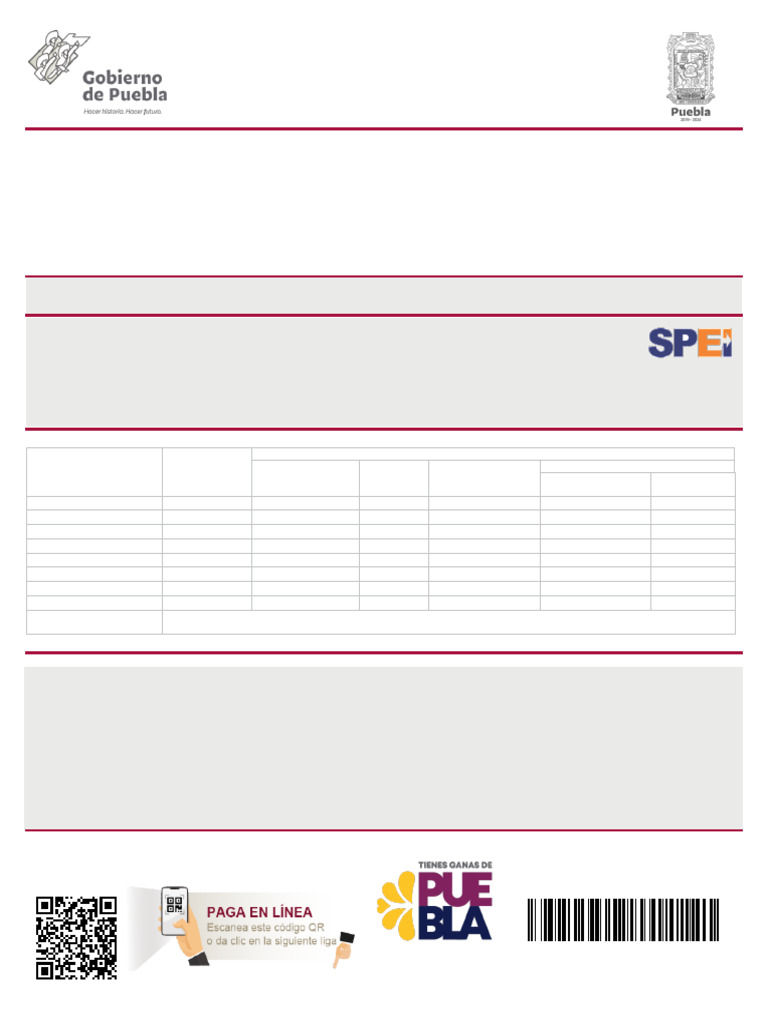 FormatoDePago Marco Acta | PDF | Bancos | Dinero