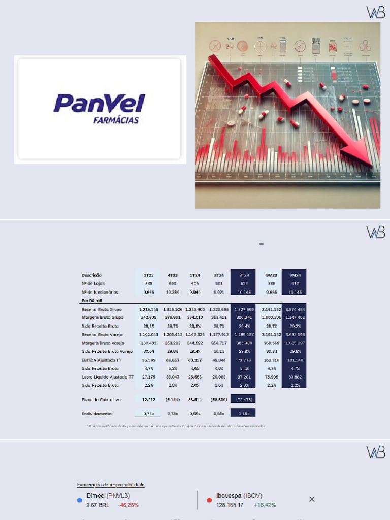 Grupo Panvel 1732116284 | PDF | Economias