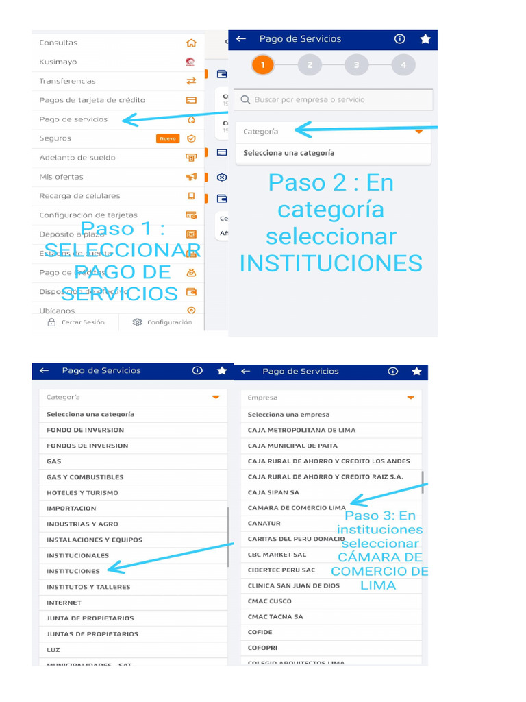 Pago Por App BCP | PDF