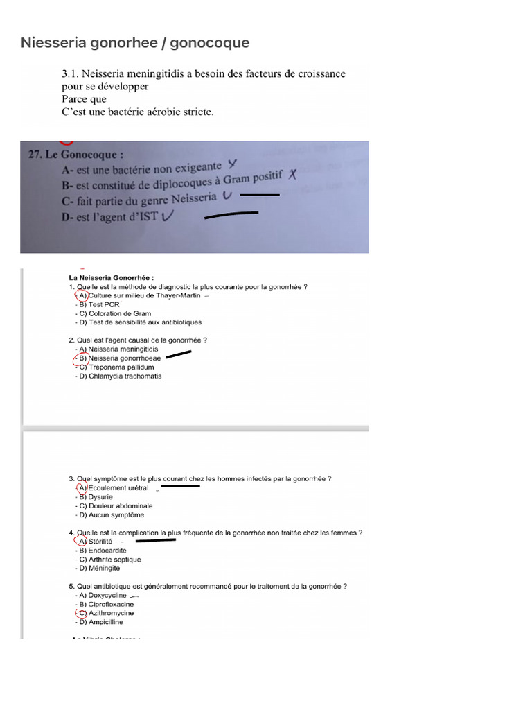 Niesseria Gonorhee / Gonocoque | PDF