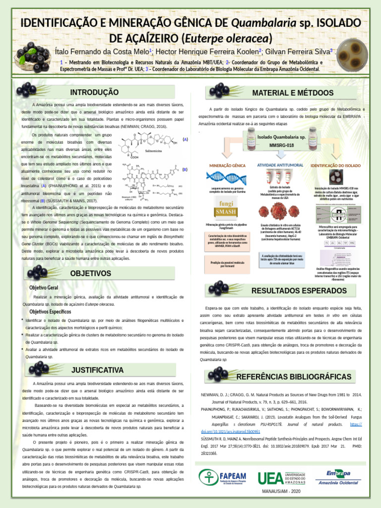 Banner Ítalo - Redação Científica | PDF | Metabolômica | Gene