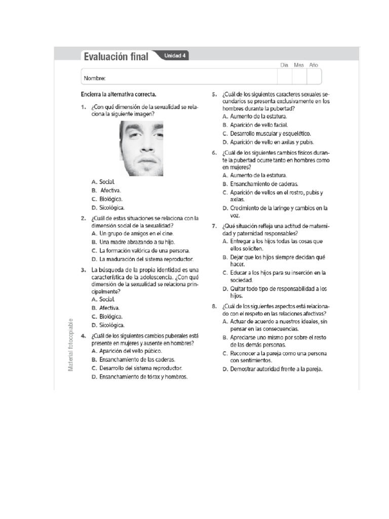 Guia Evaluada 8° Año | PDF