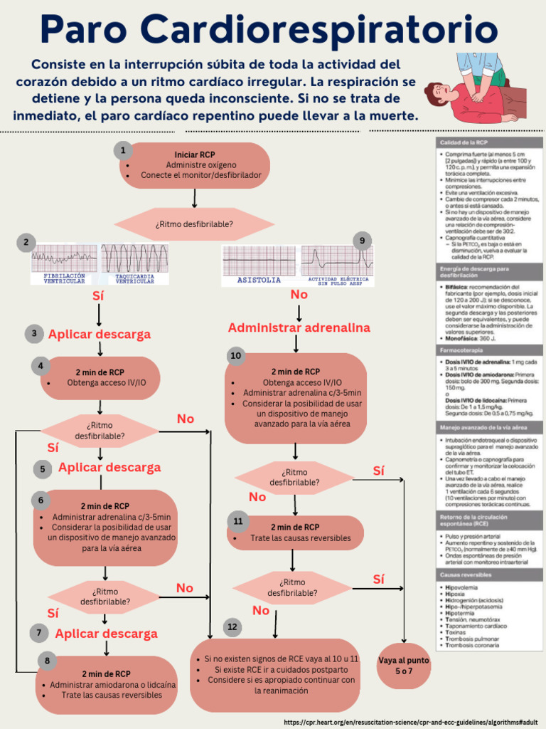 Guía RCP: Pasos y Medicación | PDF | Reanimación cardiopulmonar | Paro cardíaco