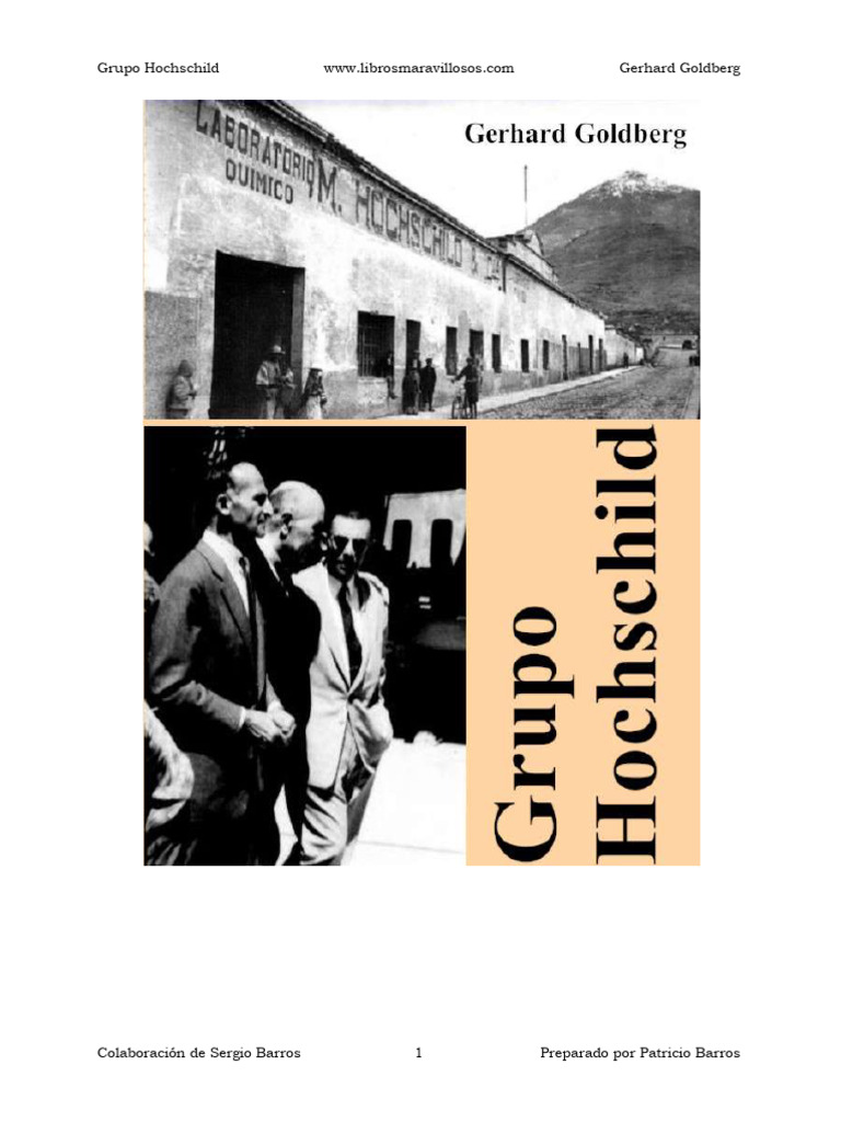 Grupo Hochschild - Gerhard Goldberg | PDF | Bolivia | Minería