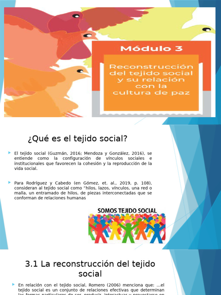 Modulo3 - Tejido Social | PDF | Psicología Social | Ciencias Políticas