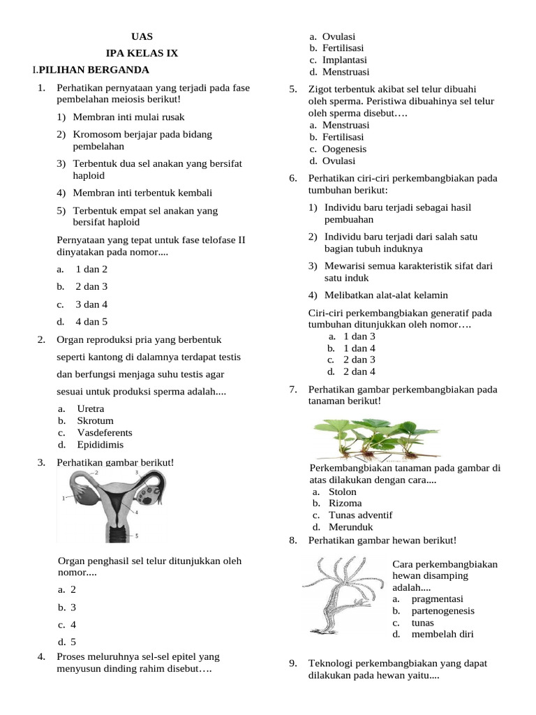 Soal Uas Ipa Kelas 9 | PDF