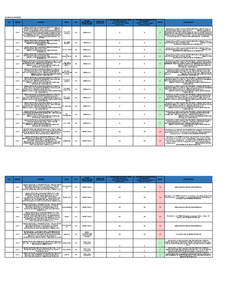 Formato de Cumplimiento de Docu y Priorizacion-No Ris y Ris | PDF