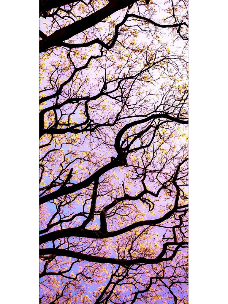 PDFReader 20241126 2057 | PDF