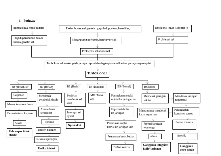 Woc Tumor Coli | PDF