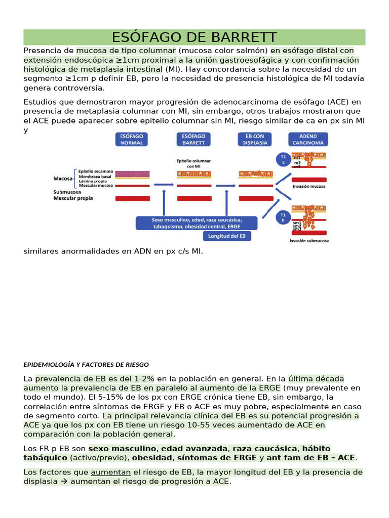 Esofago de Barret | PDF | La enfermedad por reflujo gastroesofágico ...