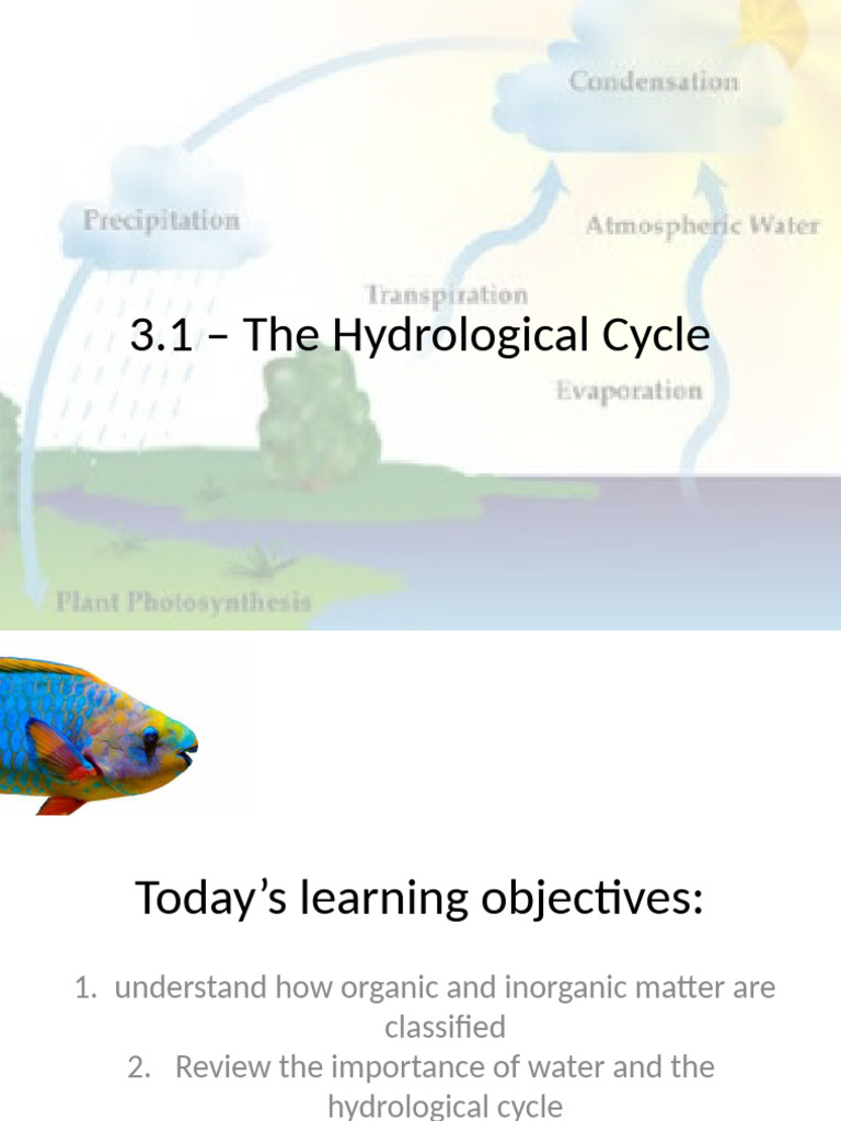 3.1 - Hydrological Cycle | PDF | Organic Compounds | Water