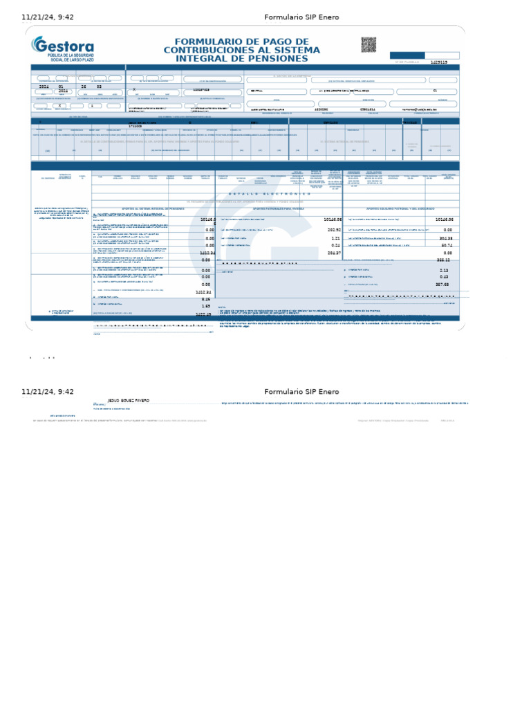 Formulario SIP Enero 2023 | PDF
