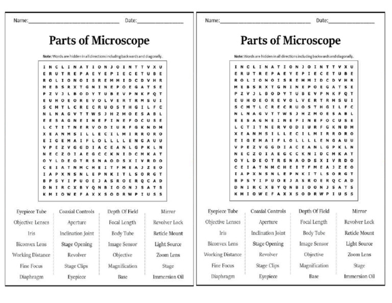 Parts of Microscope | PDF