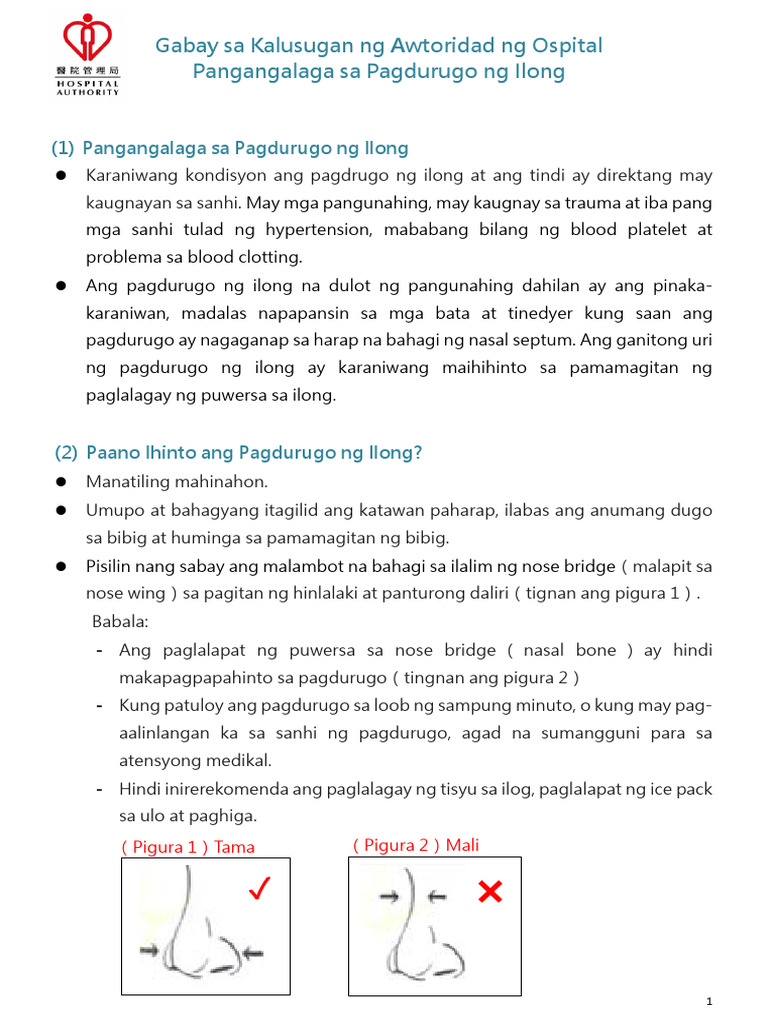 15 Nosebleed Care - 20220518 Final Tagalog - V1 | PDF