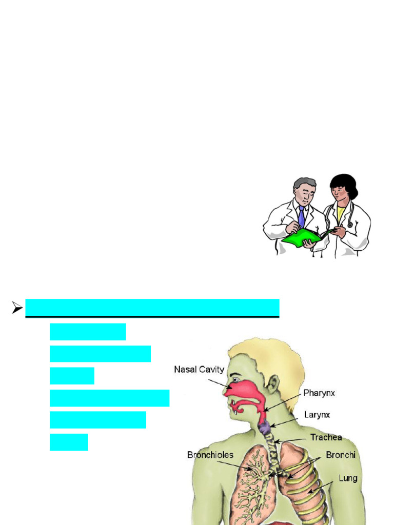 Lec 8 - Respiratory System 2 | PDF | Lung | Respiratory Tract