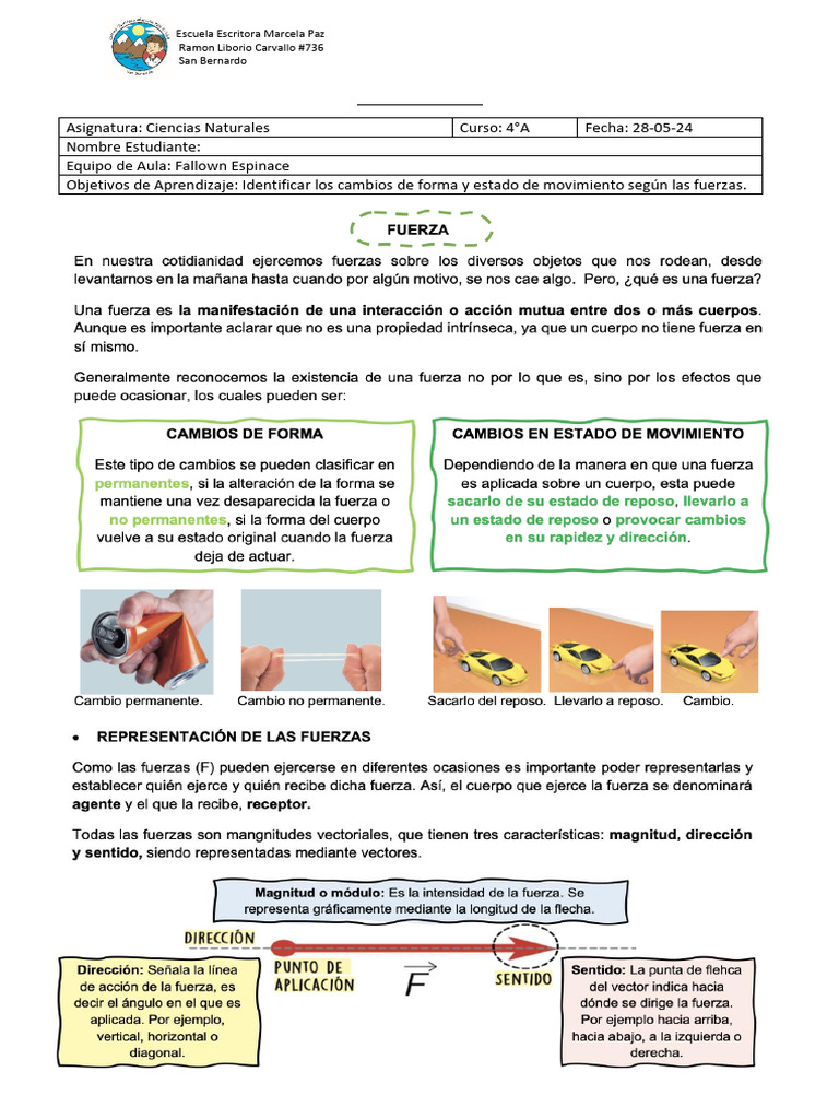 Cambios de Forma y Movimiento - Guia 3 | PDF