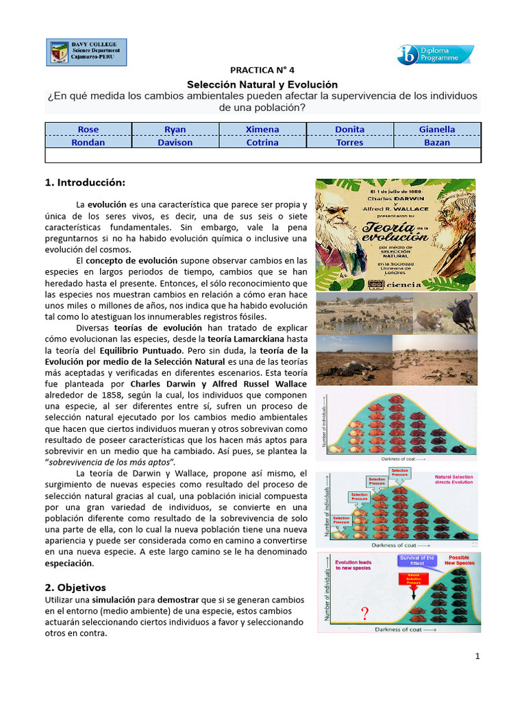 Practica de Biología - Selección Natural y Evolución 2024.. | PDF ...