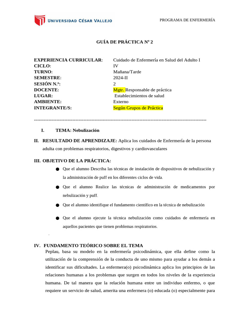 Guia de Práctica Sesión 2 - Nebulización | PDF | Enfermería ...