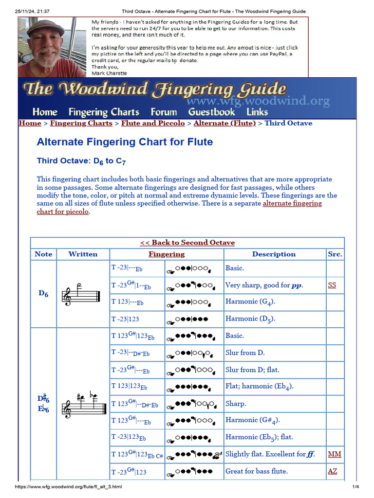 Flute Fingering: Third Octave Guide | PDF | Flute | Musicology