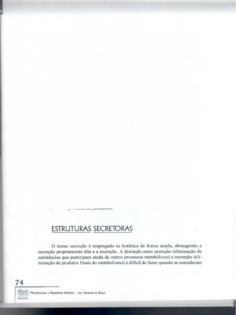 Estruturas Secretoras - Morfologia e Anatomia Vegetal - Luiz Antnio de ...
