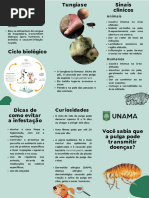 Sintomas da Tungíase e Cuidados | PDF | Doenças e distúrbios | Remédio