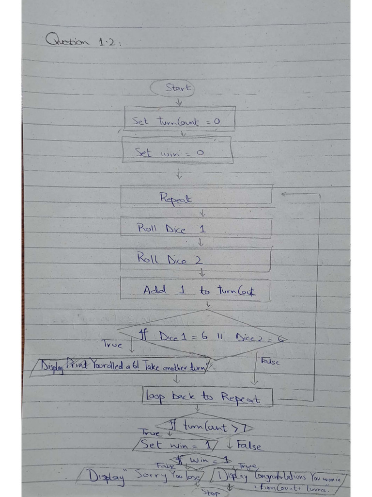 CS101 Assignment01 2024705 | PDF