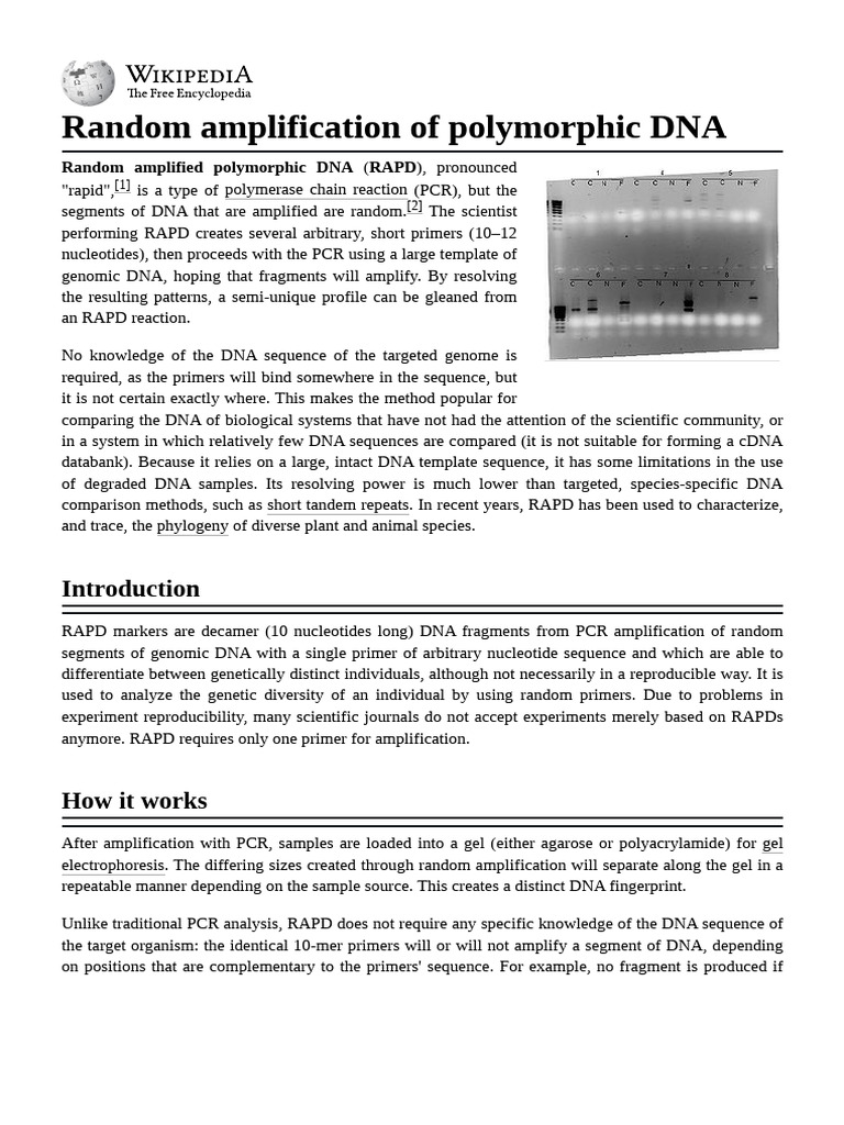 Random Amplification of Polymorphic DNA | PDF | Polymerase Chain Reaction | Nucleotides