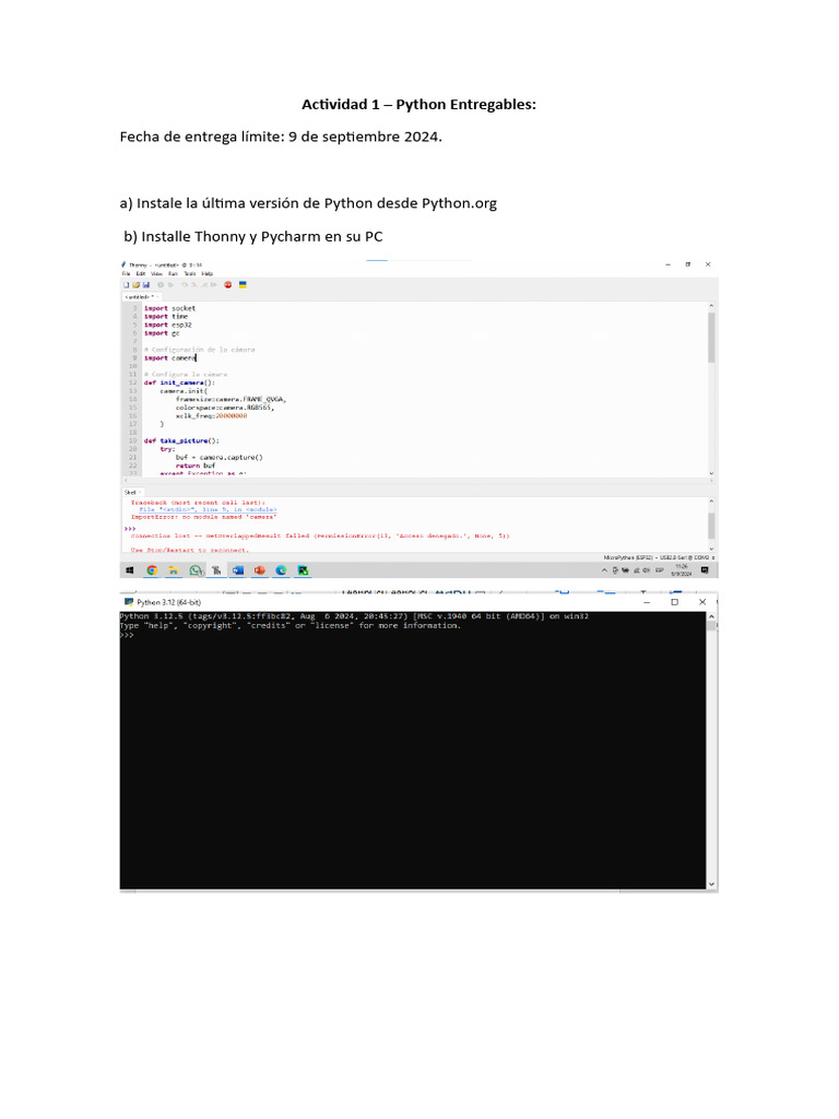 Actividad de Programación en Python | PDF