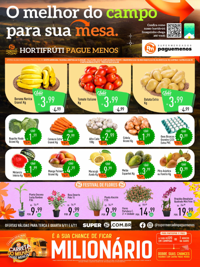 Tabloide FLV Rede SNKFNSD | PDF