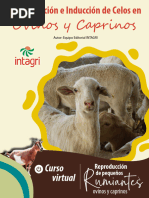 Protocolo de Sincronizacion. Ovsynch | PDF | Vacas | Reproducción humana