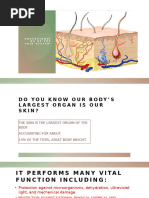 3-D Skin Model Project Guide | PDF | Skin | Anatomy