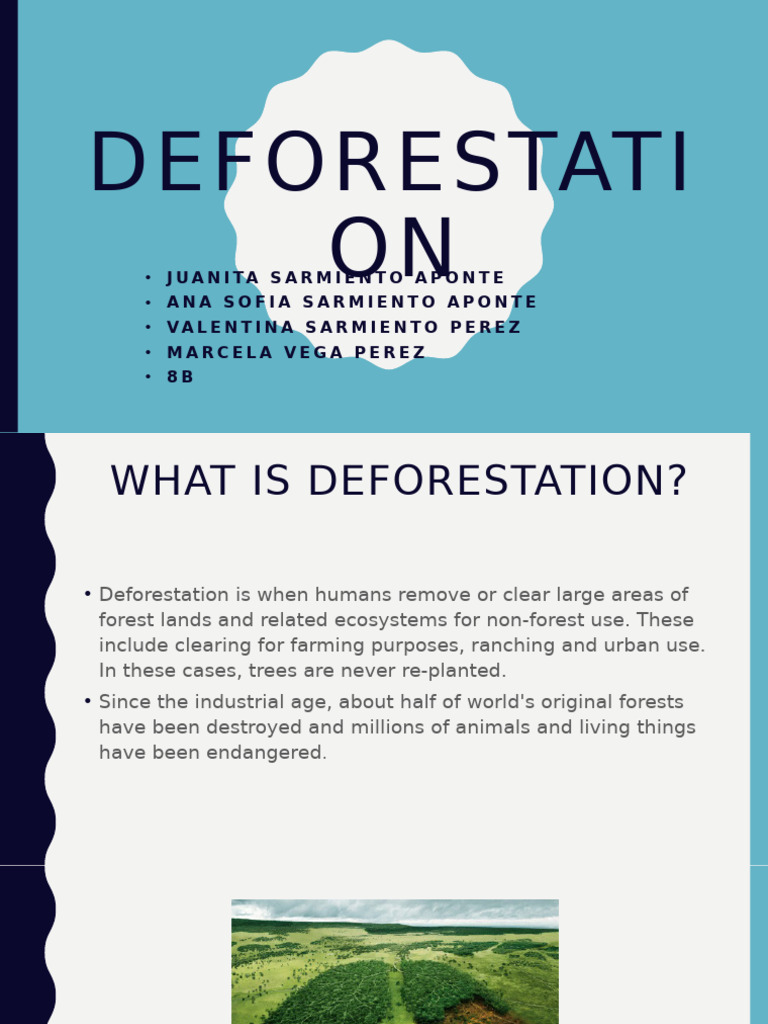 Deforestation | PDF