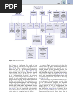 Dermatology Flap CPT Codes Flashcards | PDF | Teaching Methods ...