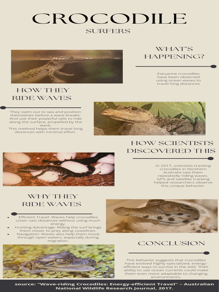 ENVIRONMENTAL | PDF | Crocodile | Oceanography
