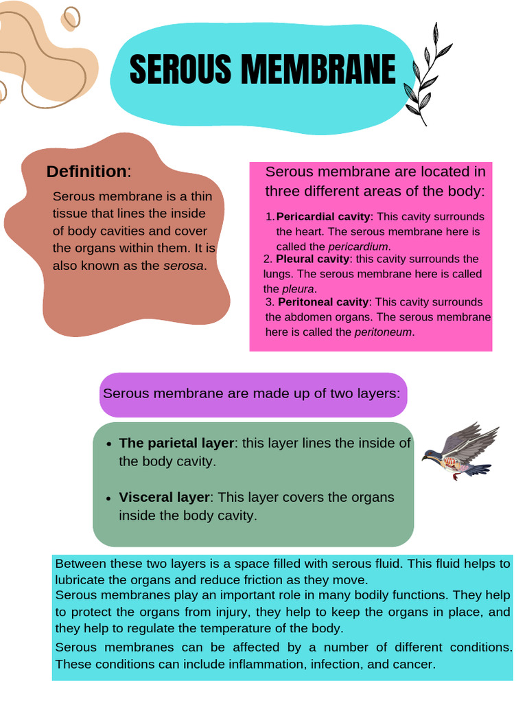 Serous Membrane | PDF