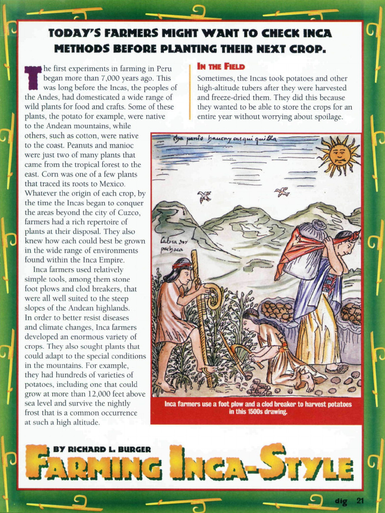 Inca Farming Techniques and Innovations | PDF | Agriculture | Food Industry
