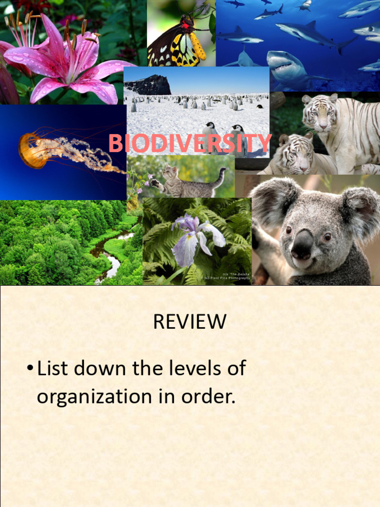 Biodiversity | PDF | Biodiversity | Species