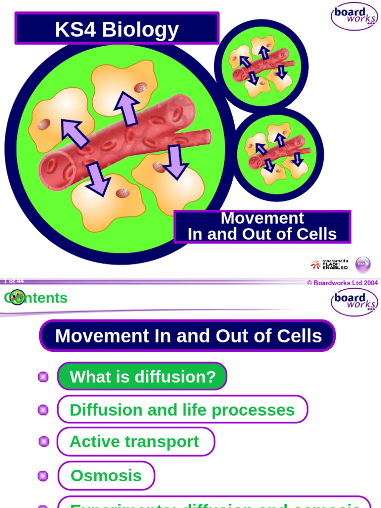 1.4 Movement in and Out of Cells | PDF | Osmosis | Diffusion