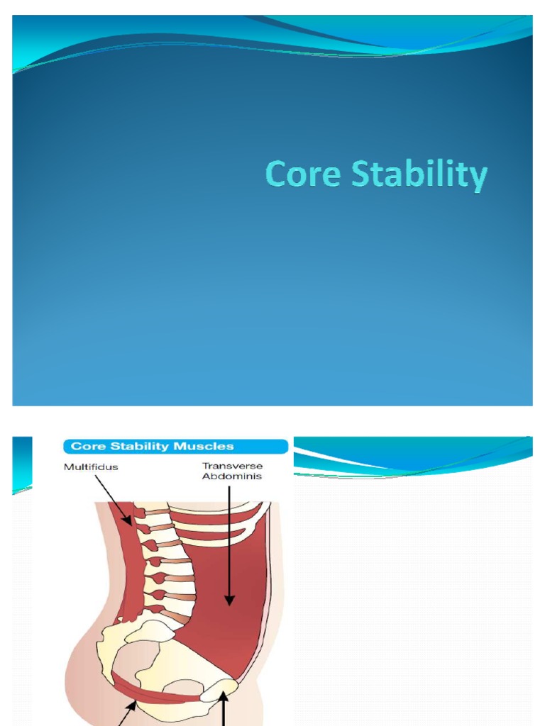 Core Stability | PDF