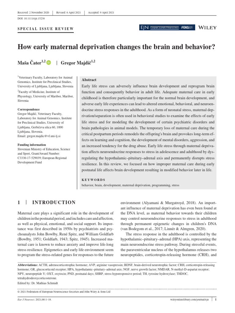 How Early Maternal Deprivation Changes The Brain and Behavior? | PDF ...