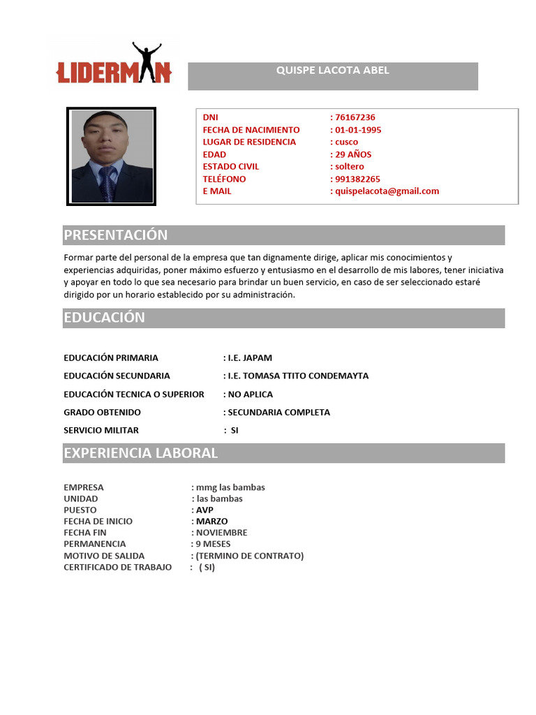 Currículum de Abel Quispe Lacota | PDF