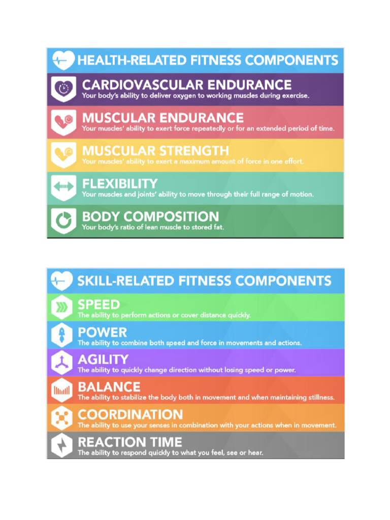 Health and Skill Related Fitness Components Project | PDF | Physical ...
