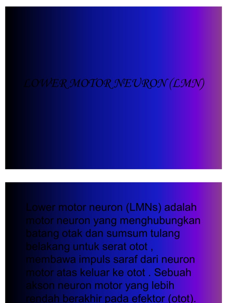 Lower Motor Neuron (LMN) | PDF
