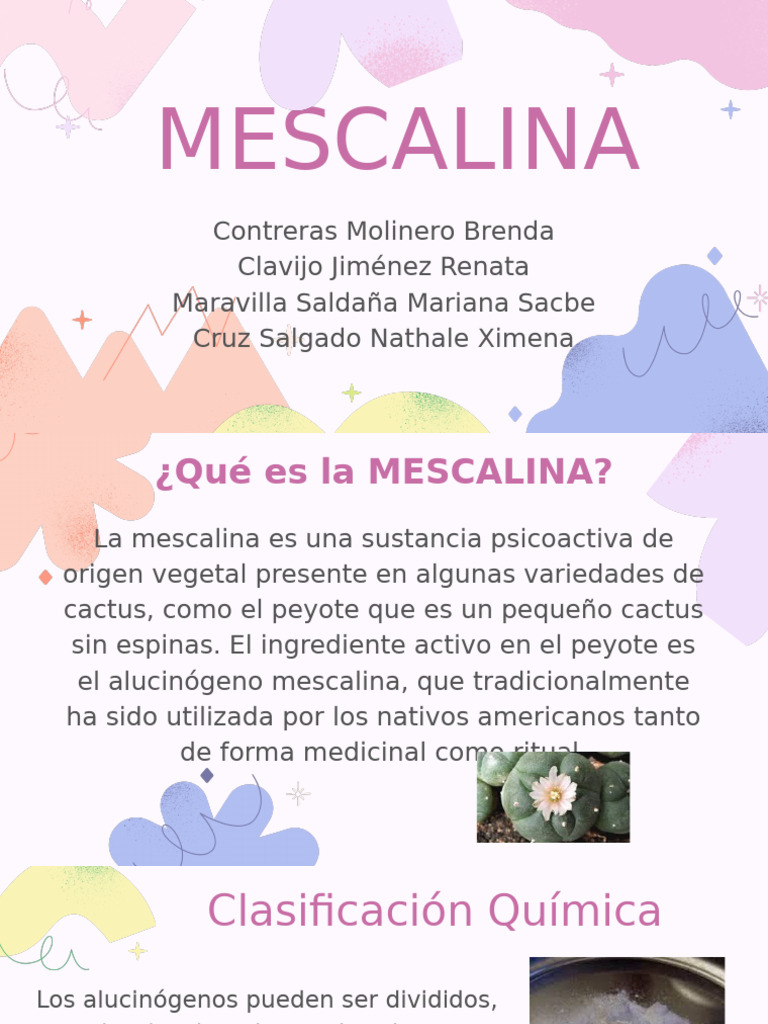 Mescalina | PDF | Drogas psicodélicas | Alucinógeno