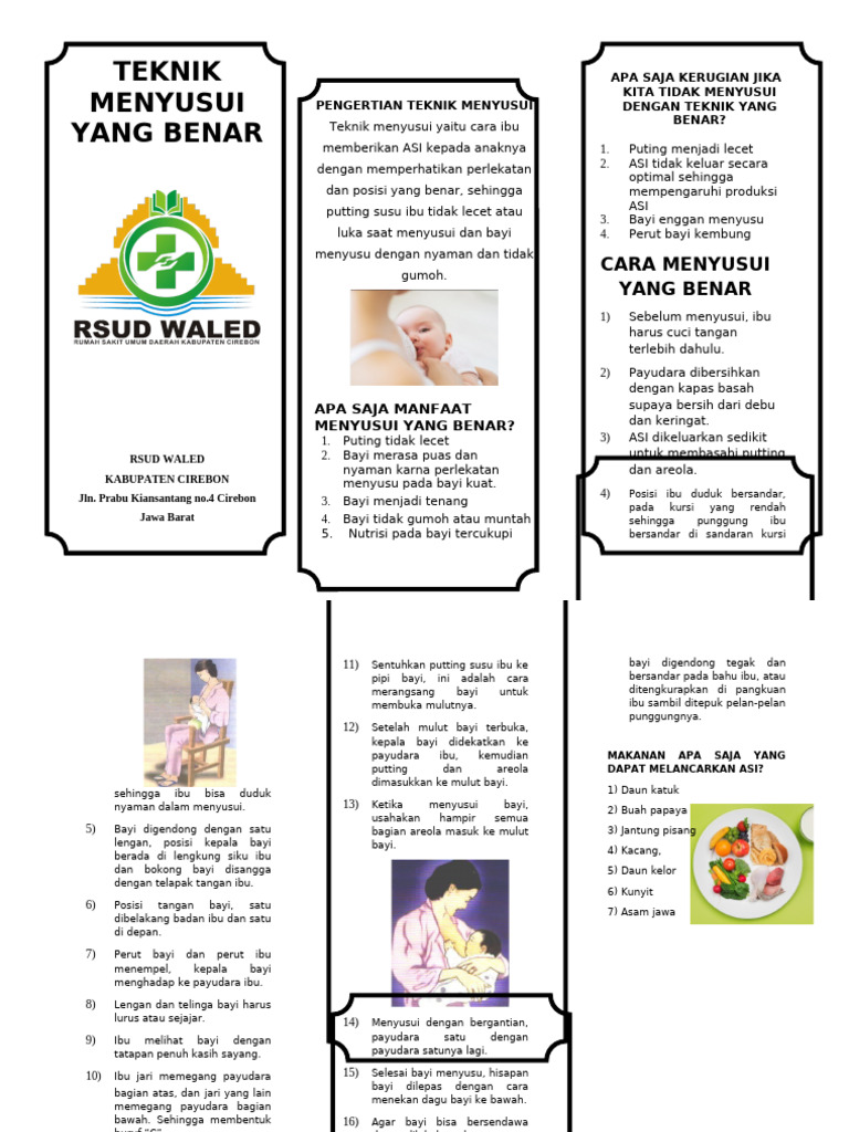 Leaflet Teknik Menyusui | PDF