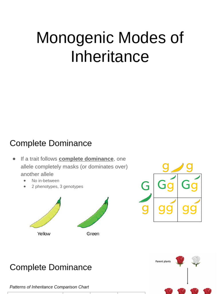 Genetics Modes of Inheritence 25 | PDF | Dominance (Genetics) | Genotype