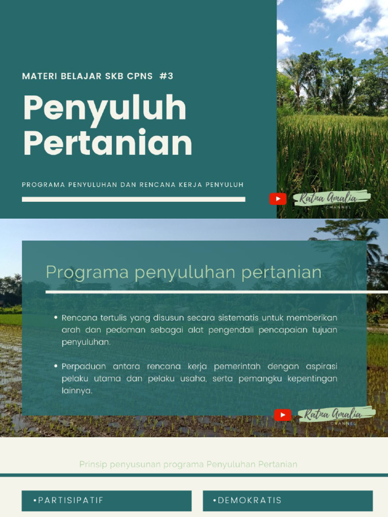 Materi SKB 3 - Programa Penyuluhan Dan Rencana Kerja Penyuluh | PDF