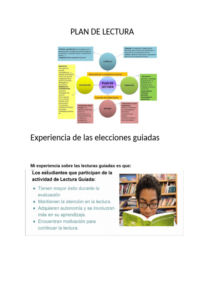Plan de Lectura | PDF