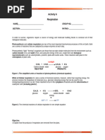 BTB Experiment: Photosynthesis & Respiration | PDF | Photosynthesis ...