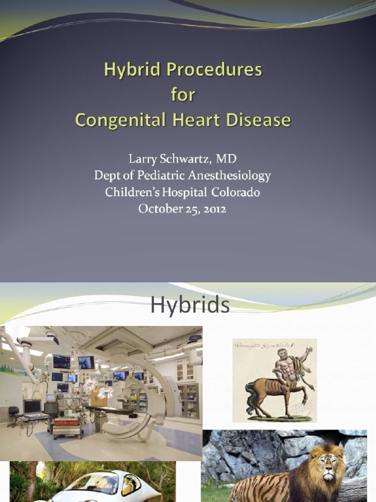 Hybrid Procedures | PDF